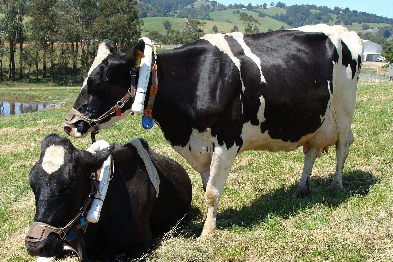 Victorian Country Hour - ABC Radio
