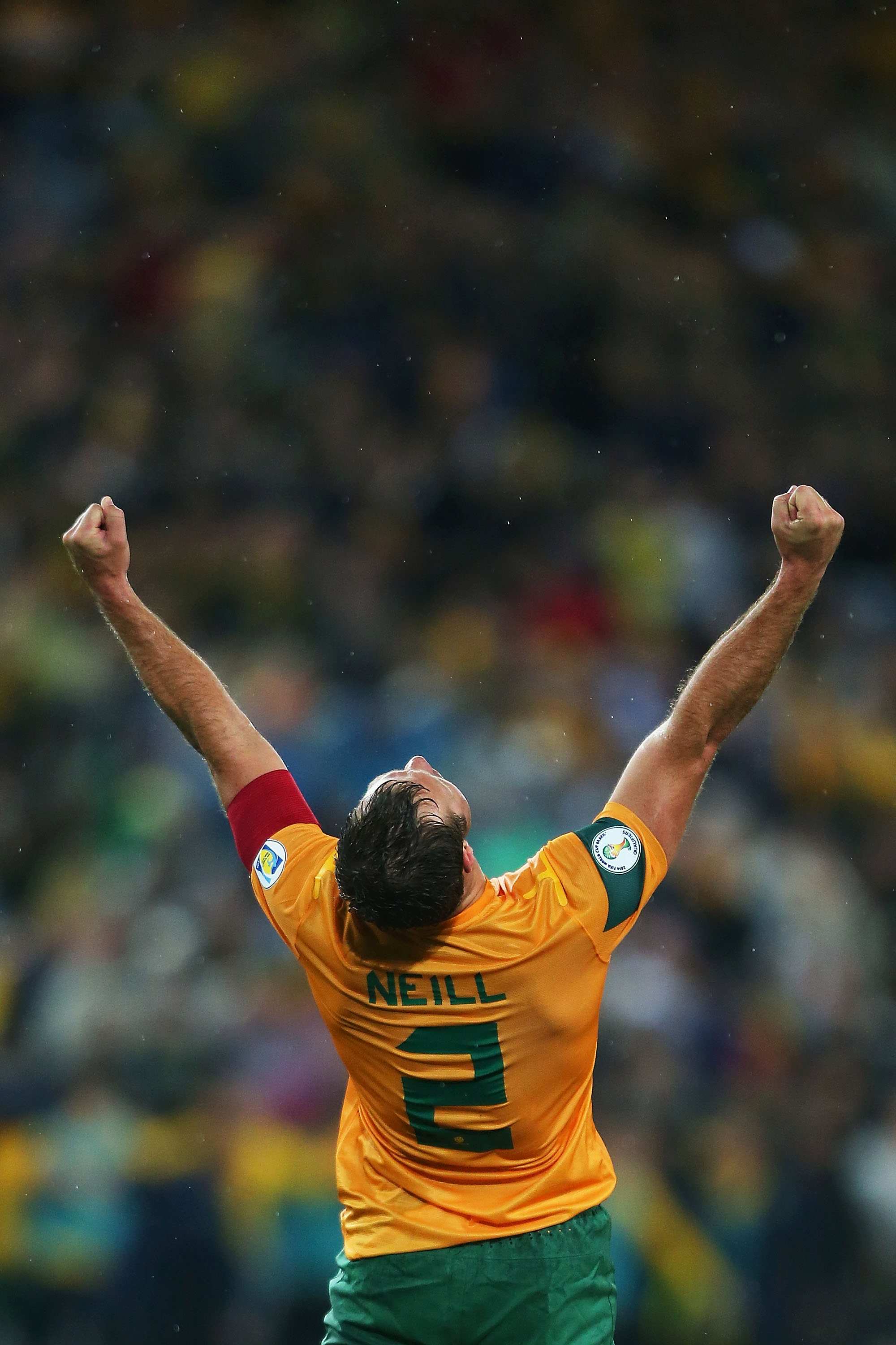 Socceroos captain Lucas Neill looking forward to World Cup 2014 swan ...