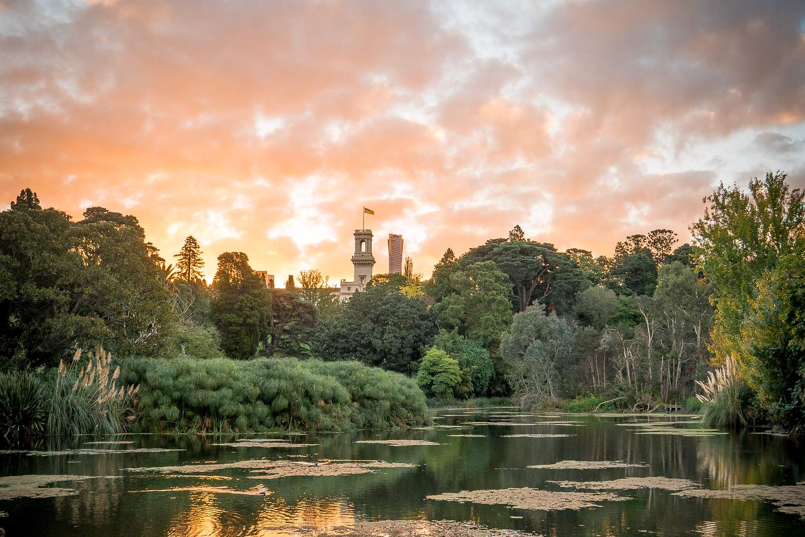 A winter wander with Tim Entwisle - ABC listen