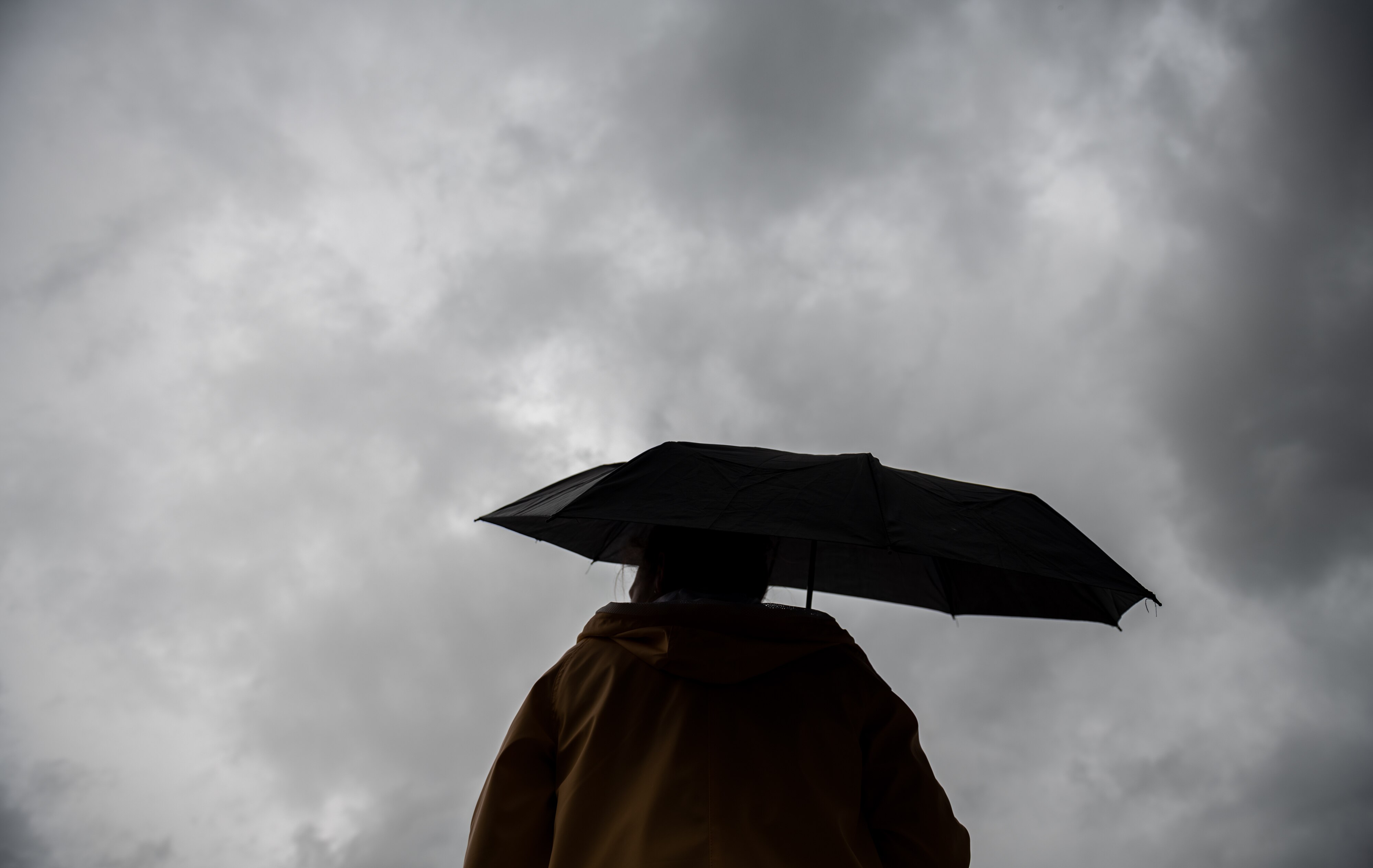 The Philosopher's Zone with David Rutledge - ABC listen