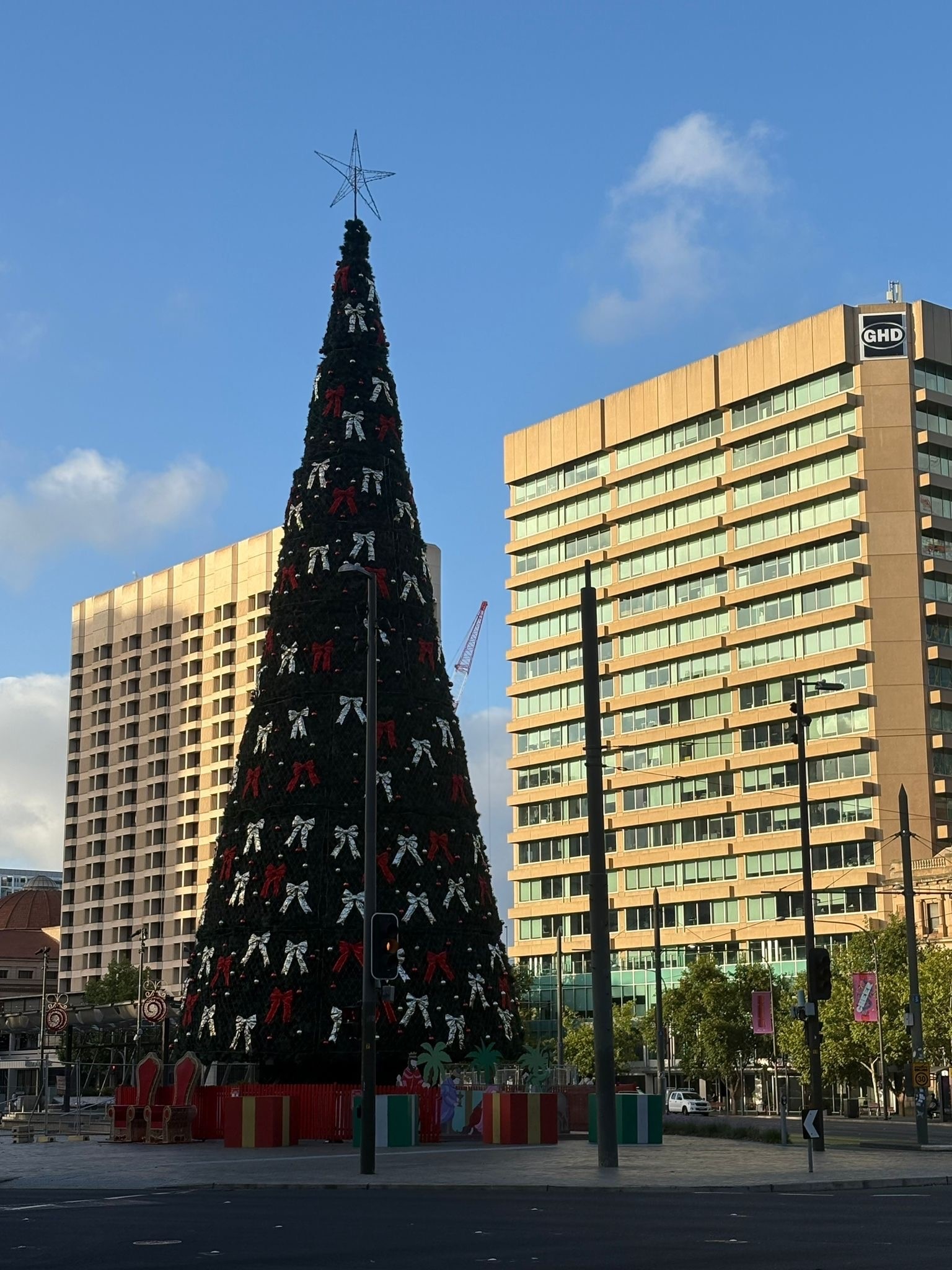 New future for Adelaide Christmas tree as council seeks a replacement ...