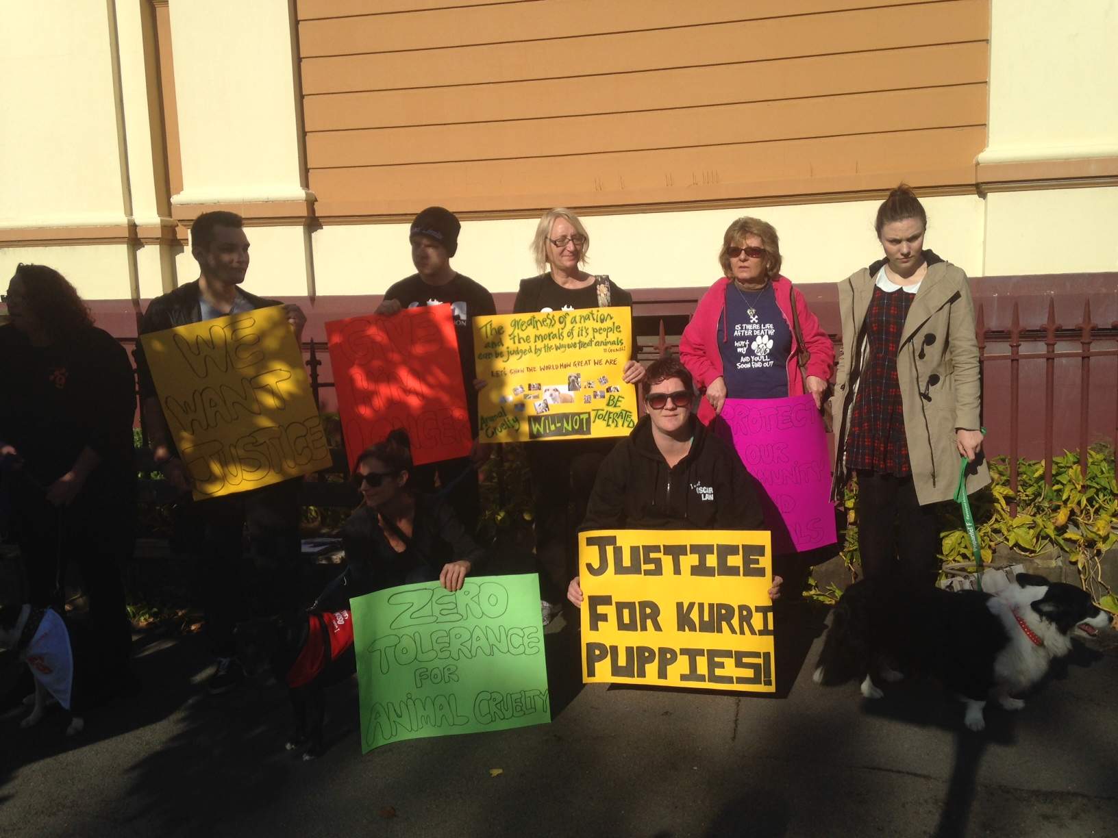 Hunter puppy killer appeals severity of sentence - ABC News