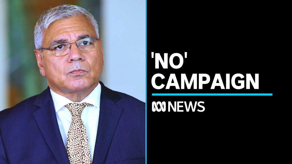 Yes campaign describes Voice referendum as 'unifying' proposal - ABC News
