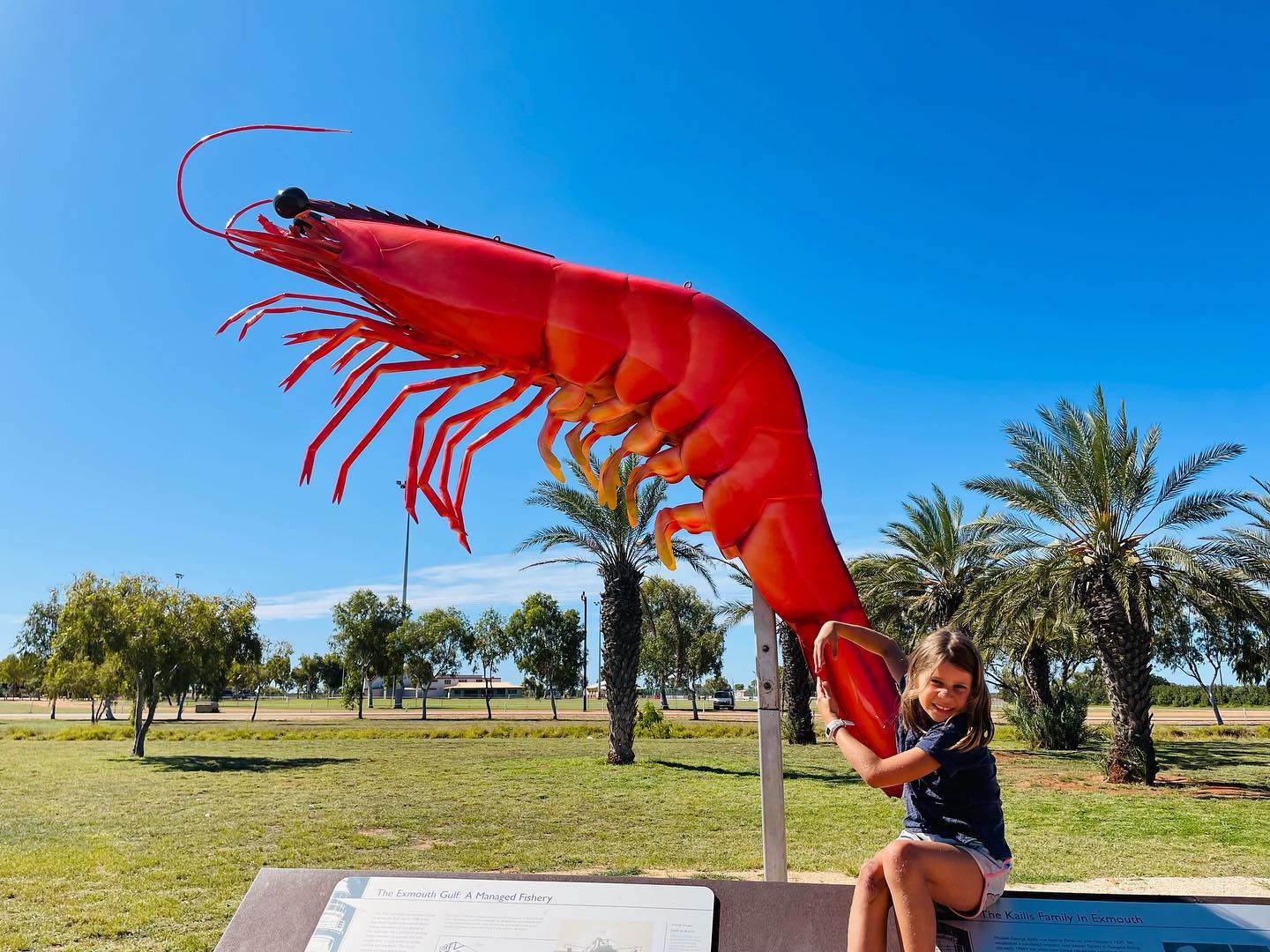 Exmouth awarded Small Tourism Town of 2022 - ABC News