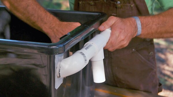 Love Your Larvae - Gardening Australia