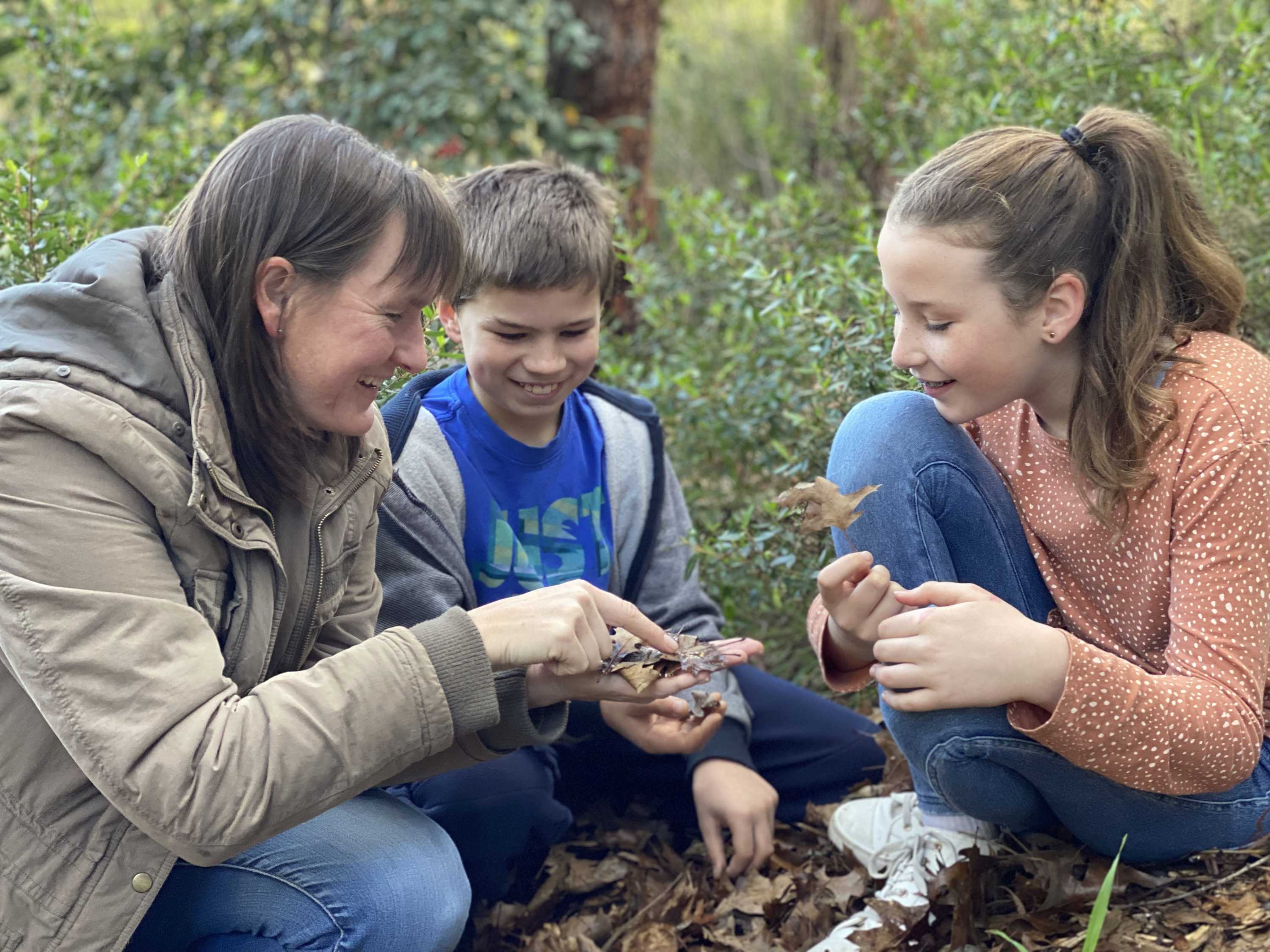 Electrification coming for runabouts and vale Roger Short - ABC listen