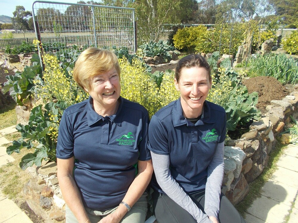 Unique horse training partnership a winner in southern Tasmania - ABC ...