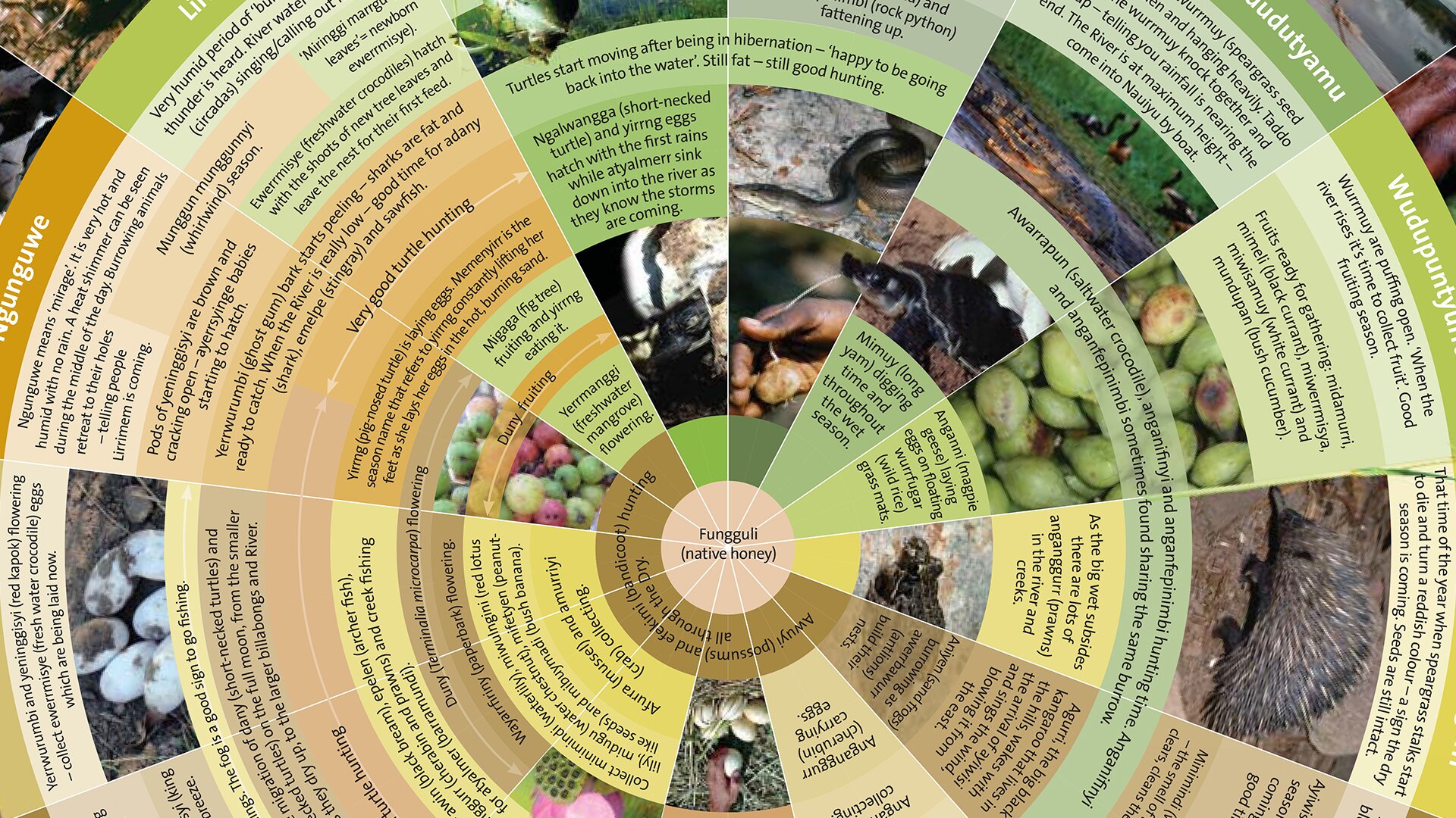 First Nations Seasons - Behind The News