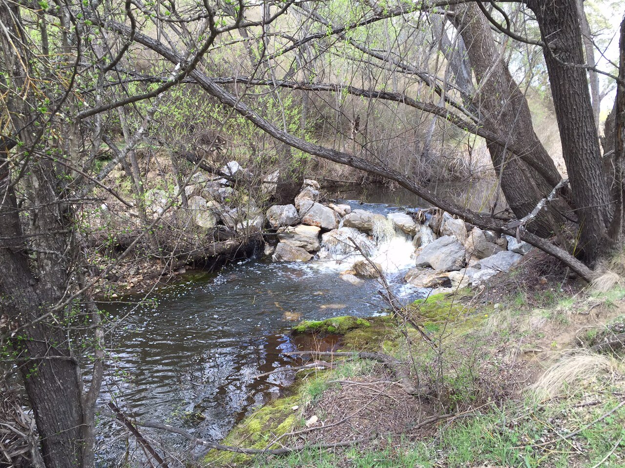 Capital region farmers prepare for hot summer and possibility of future ...