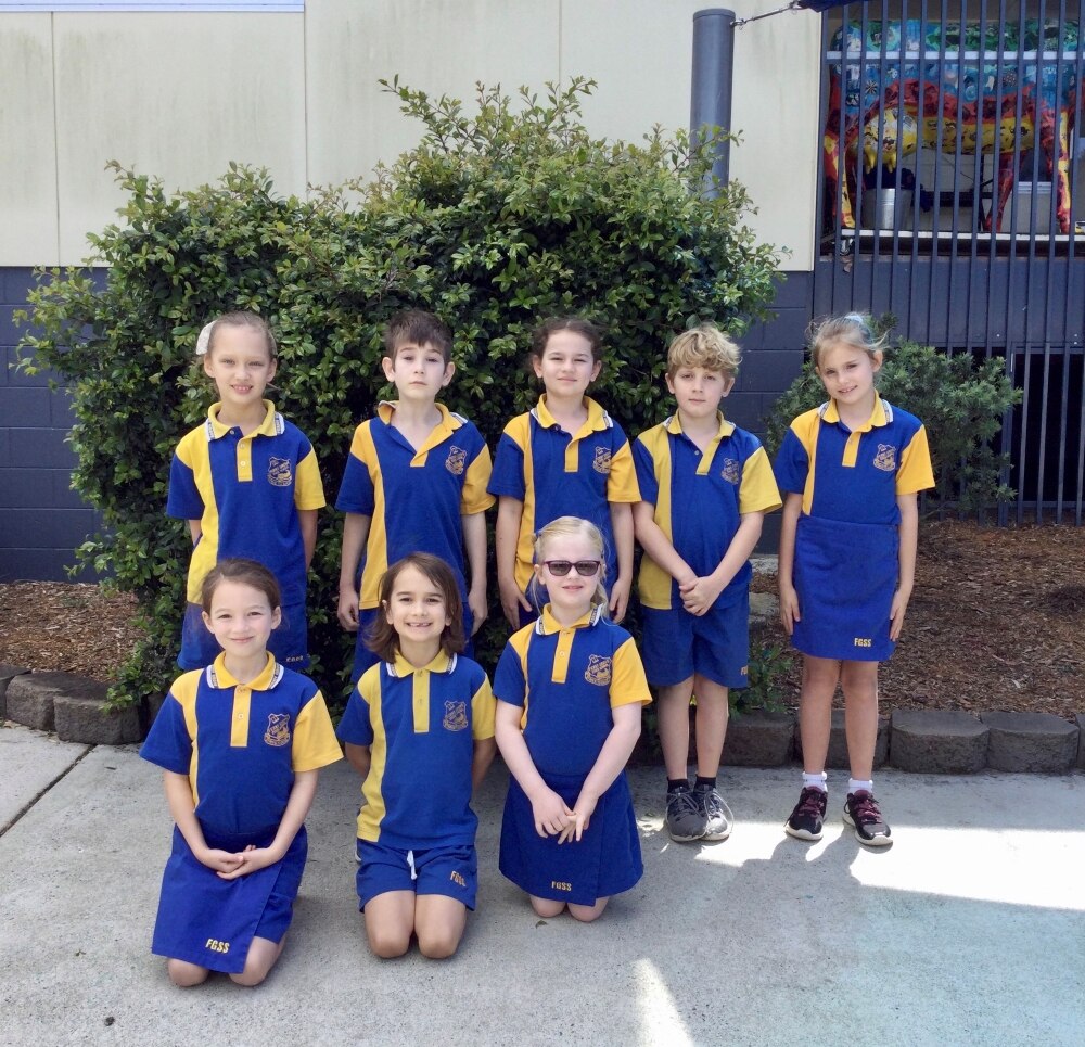 'Why do chickens have wings when they can't fly?' - ABC listen