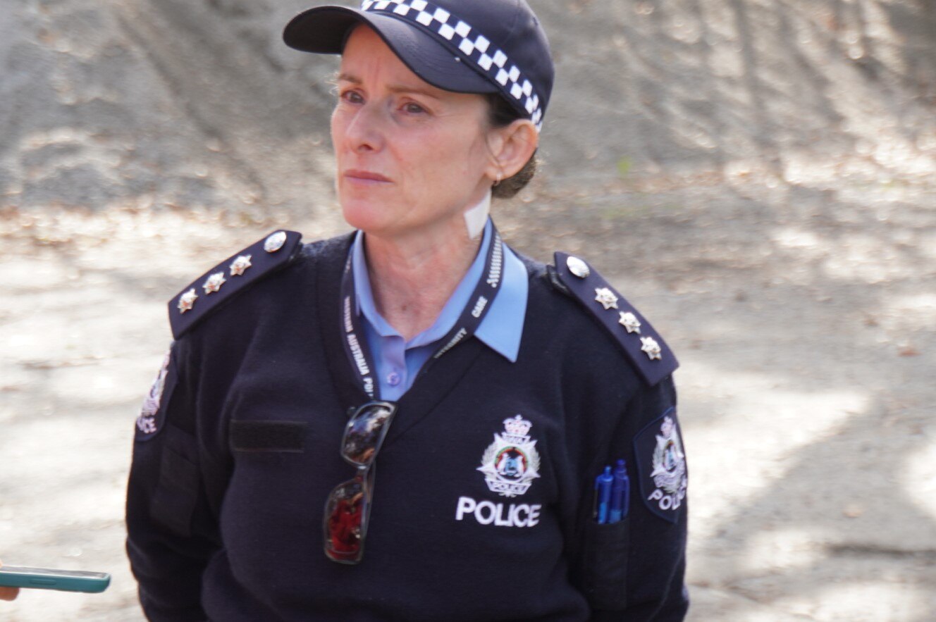 Missing woman Nada Rokic found 'tired and cold' after 'bush doof' south ...