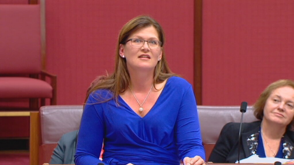 Outgoing ACT Labor senator Kate Lundy reflects on time as sports ...