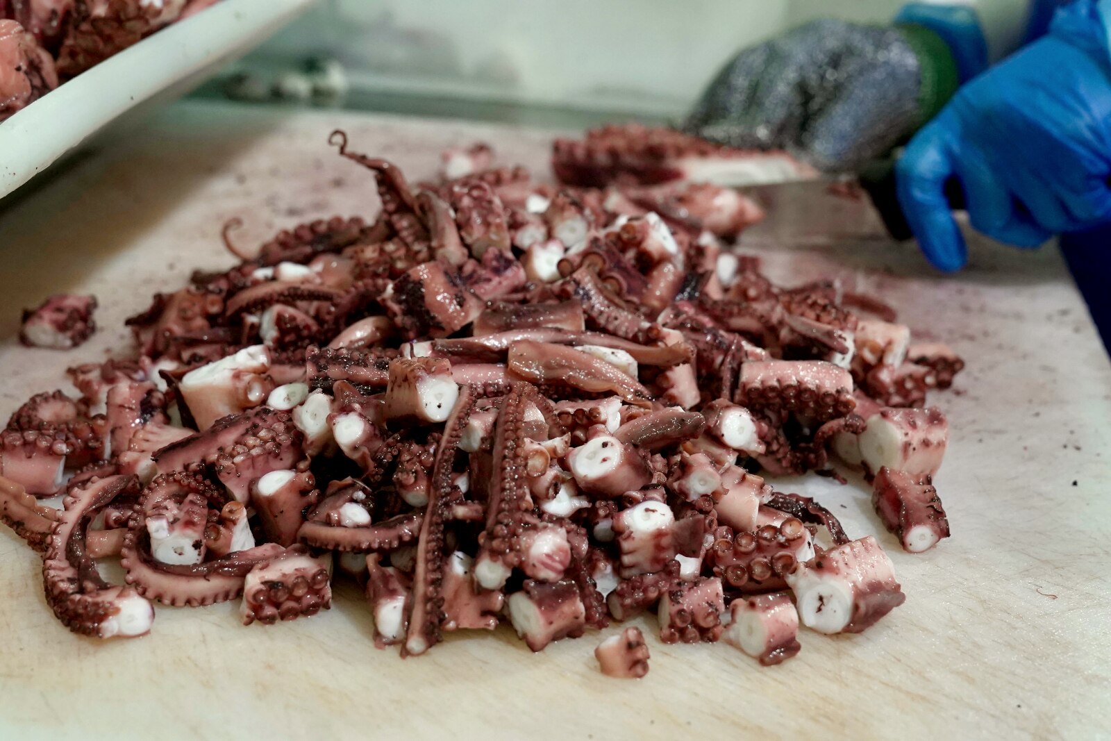 Rock star fishery booming in Western Australia, as octopus catch ...