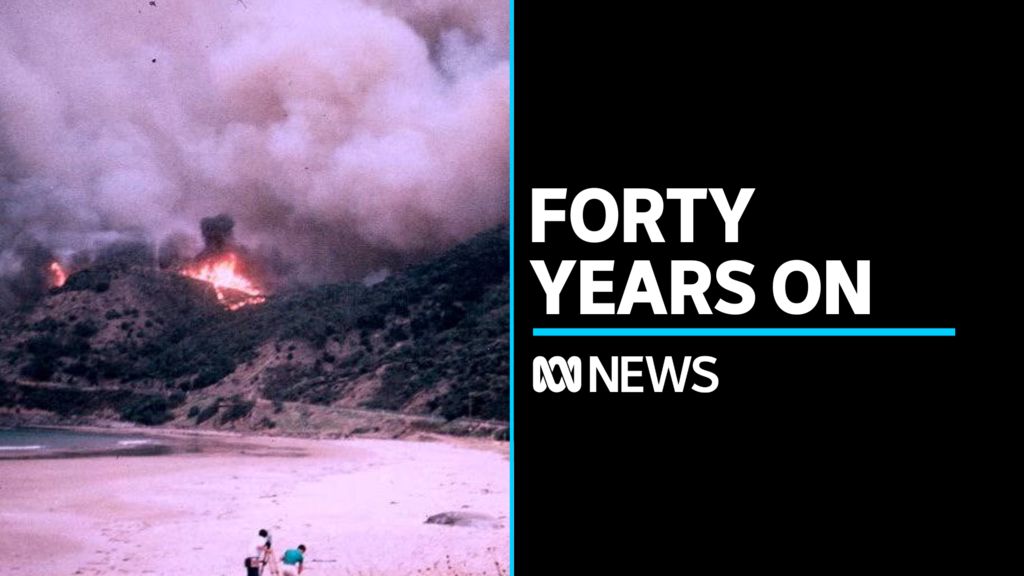 Forty years on since the Ash Wednesday fires - ABC News