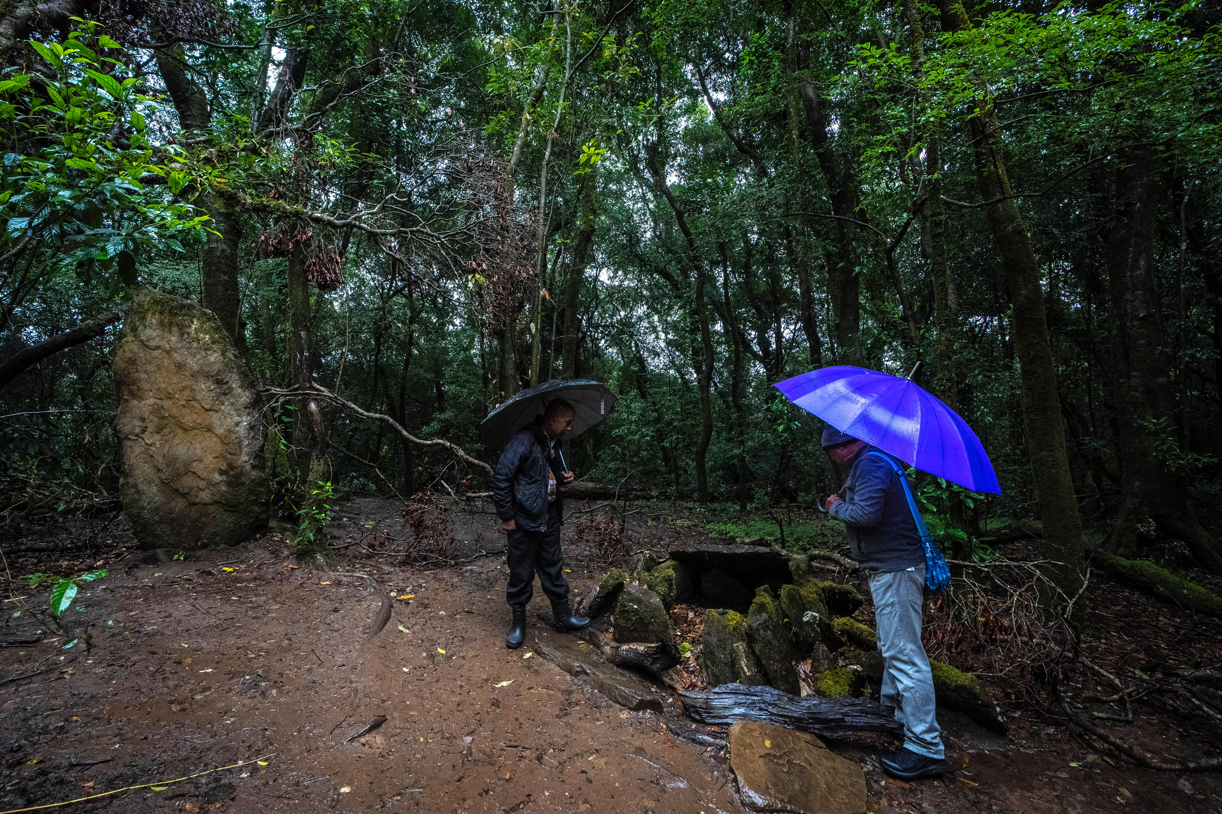 Indigenous communities and environmentalists are working to conserve ...