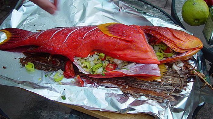 Coral trout cooked in paperbark with lemon myrtle - ABC News