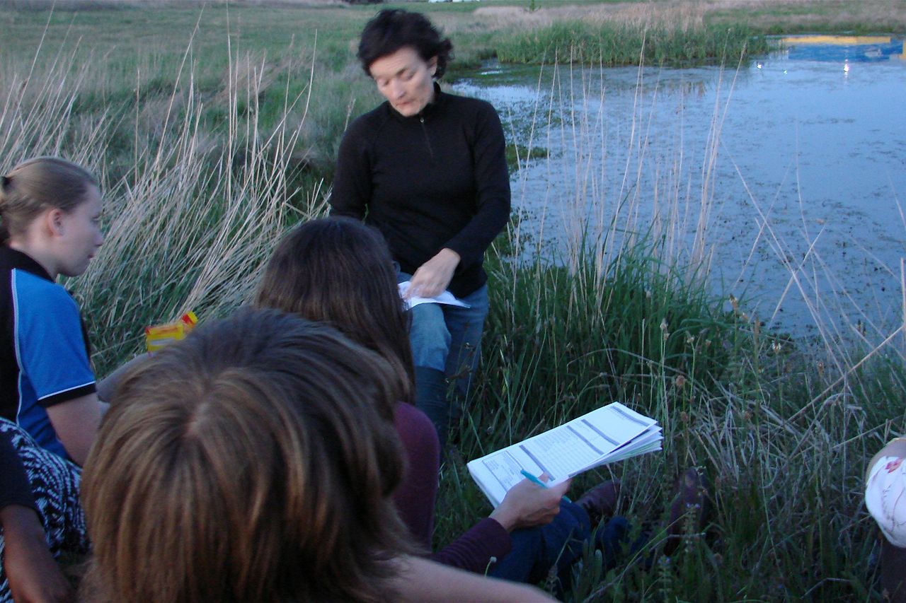 Canberra frogs 'surviving despite extinctions across the globe' - ABC News