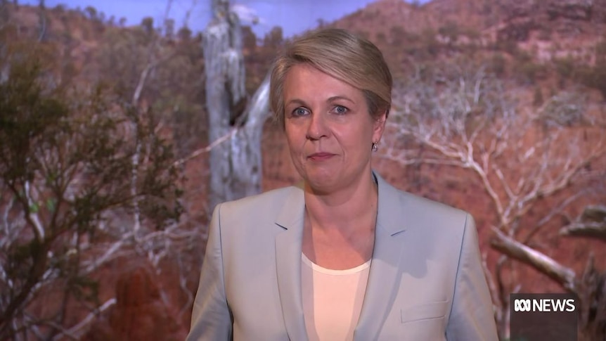 Environment Minister to launch 'Threatened Species Action Plan' - ABC News Environment Minister to launch 'Threatened Species Action Plan' - ABC News