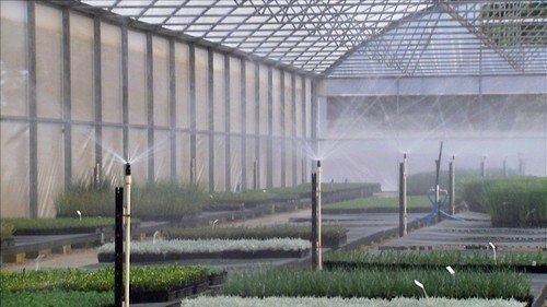 Future Proofing Plants - Gardening Australia