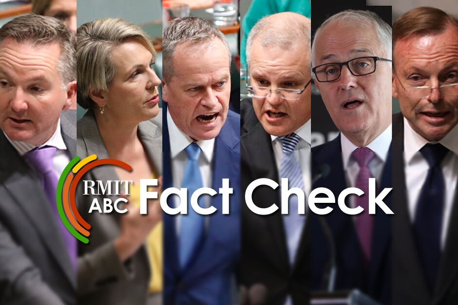 Sorting fact from fiction — the year that was in fact checking - ABC News