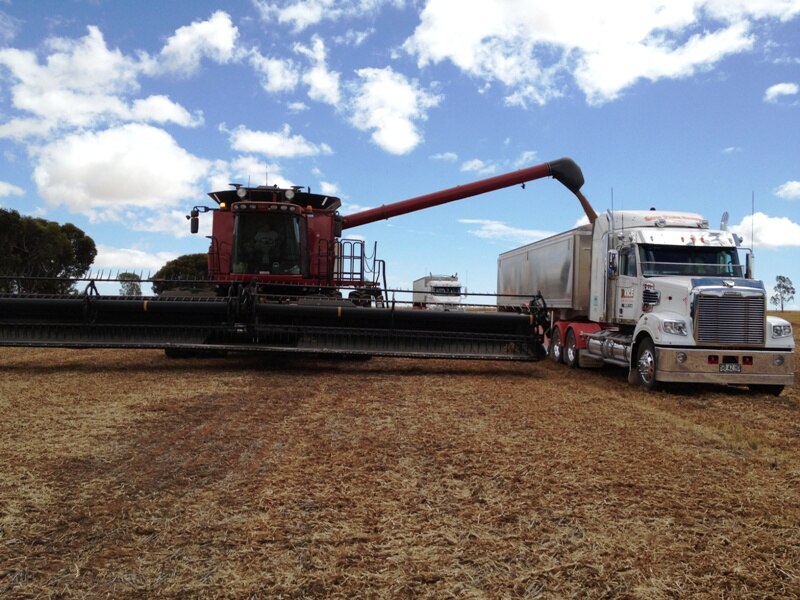 Young farmer gives insight into life on the header - ABC News