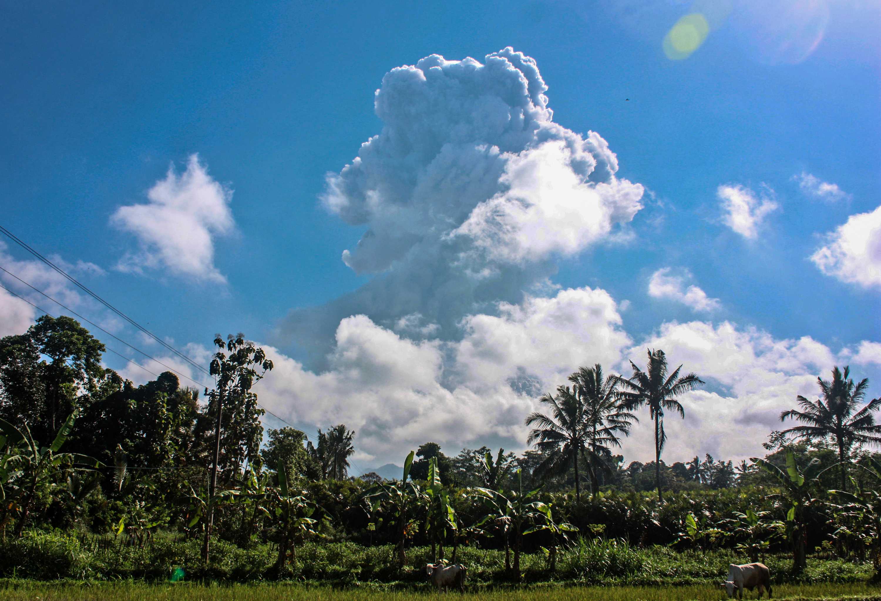 Indonesia's Mount Merapi volcano unleashes lava river in latest ...