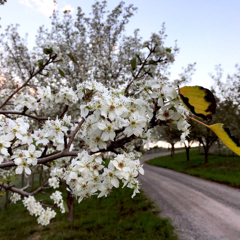 Perth's spring weather outlook shows wet winter is set to give way to ...
