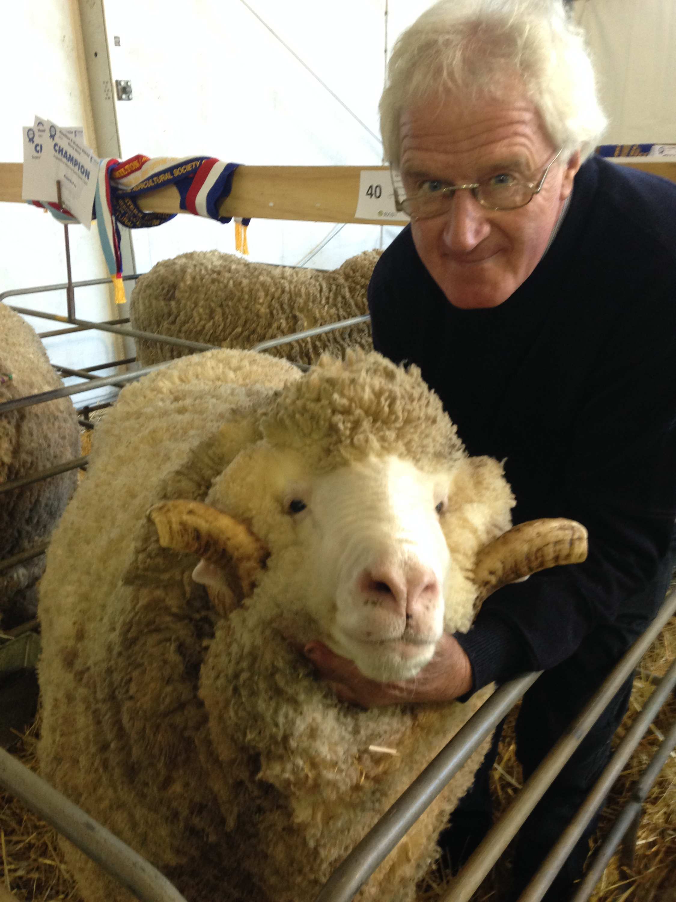 Experience vs. science: Merino breeders divided on value of show ...
