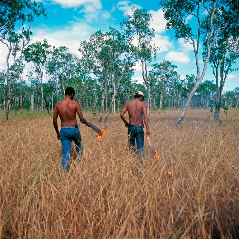 Rethinking Indigenous Australia's agricultural past - ABC Radio National