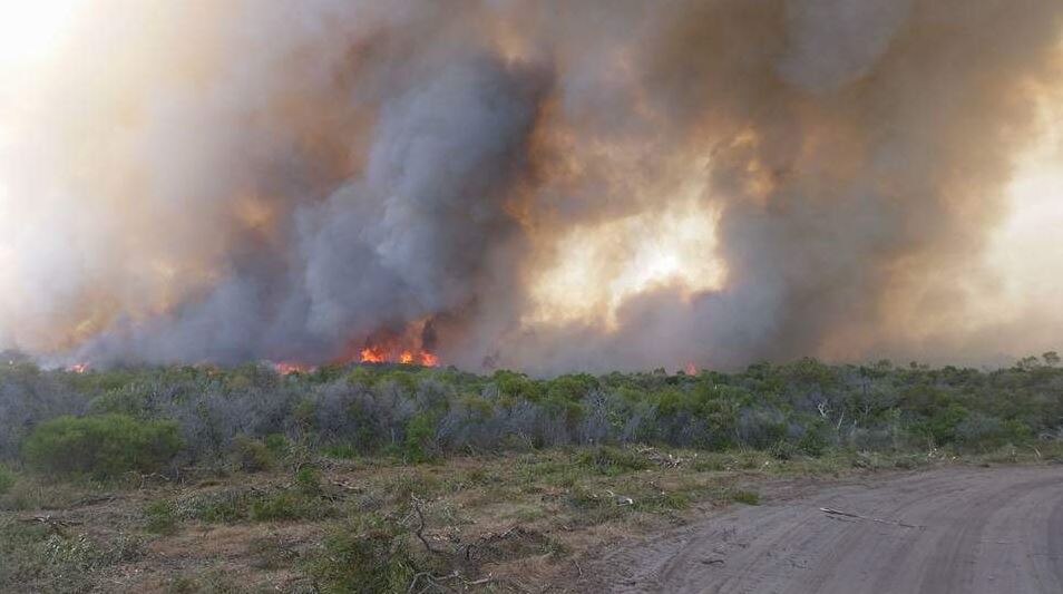WA bushfires: Firefighters work through the night to control several ...