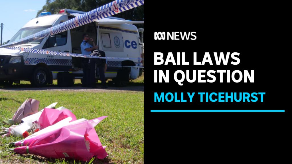 Alleged murder of Molly Ticehurst prompts reassessment of bail laws ...