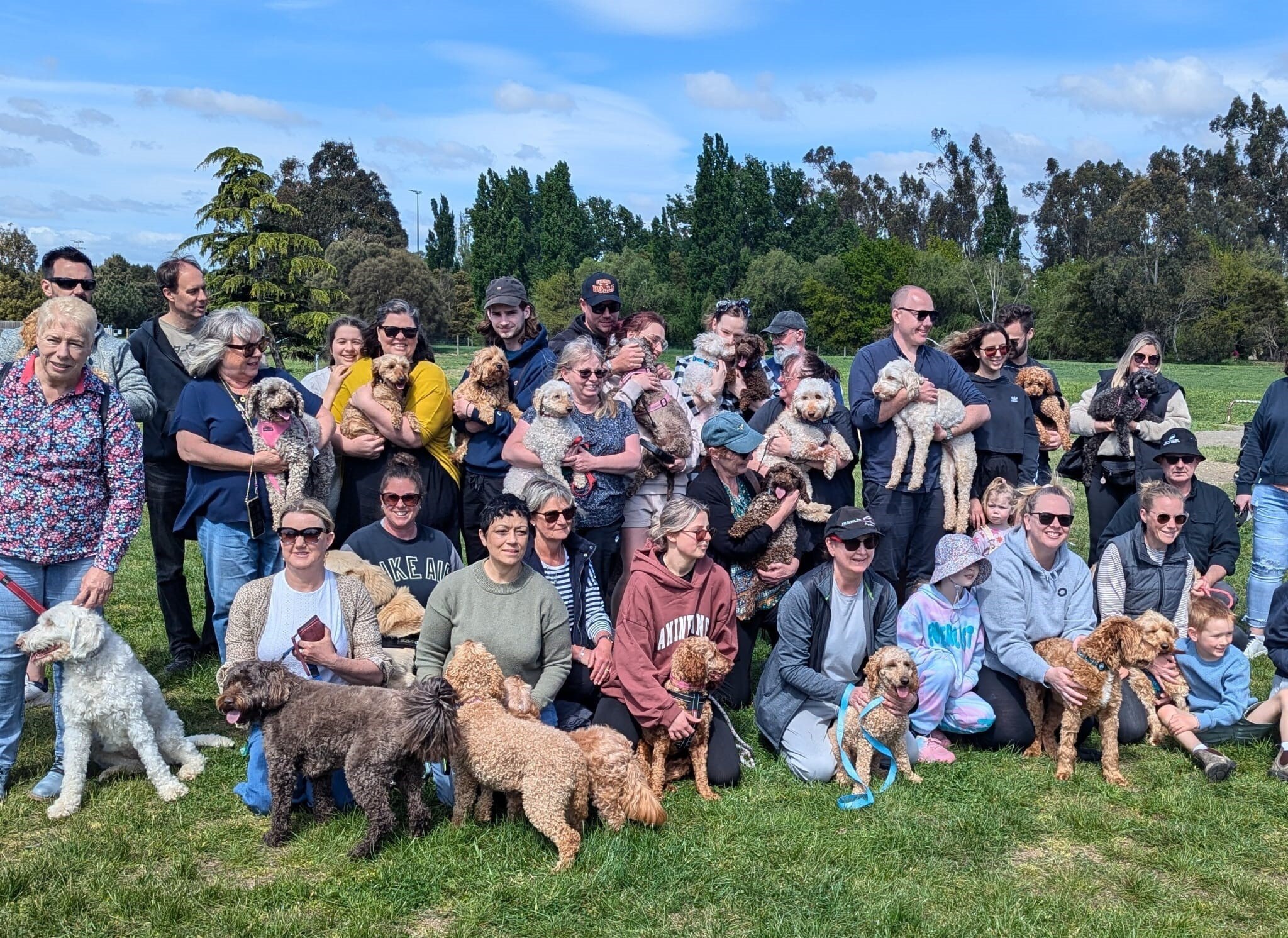 Rescued labradoodles reunited again in Launceston - ABC listen