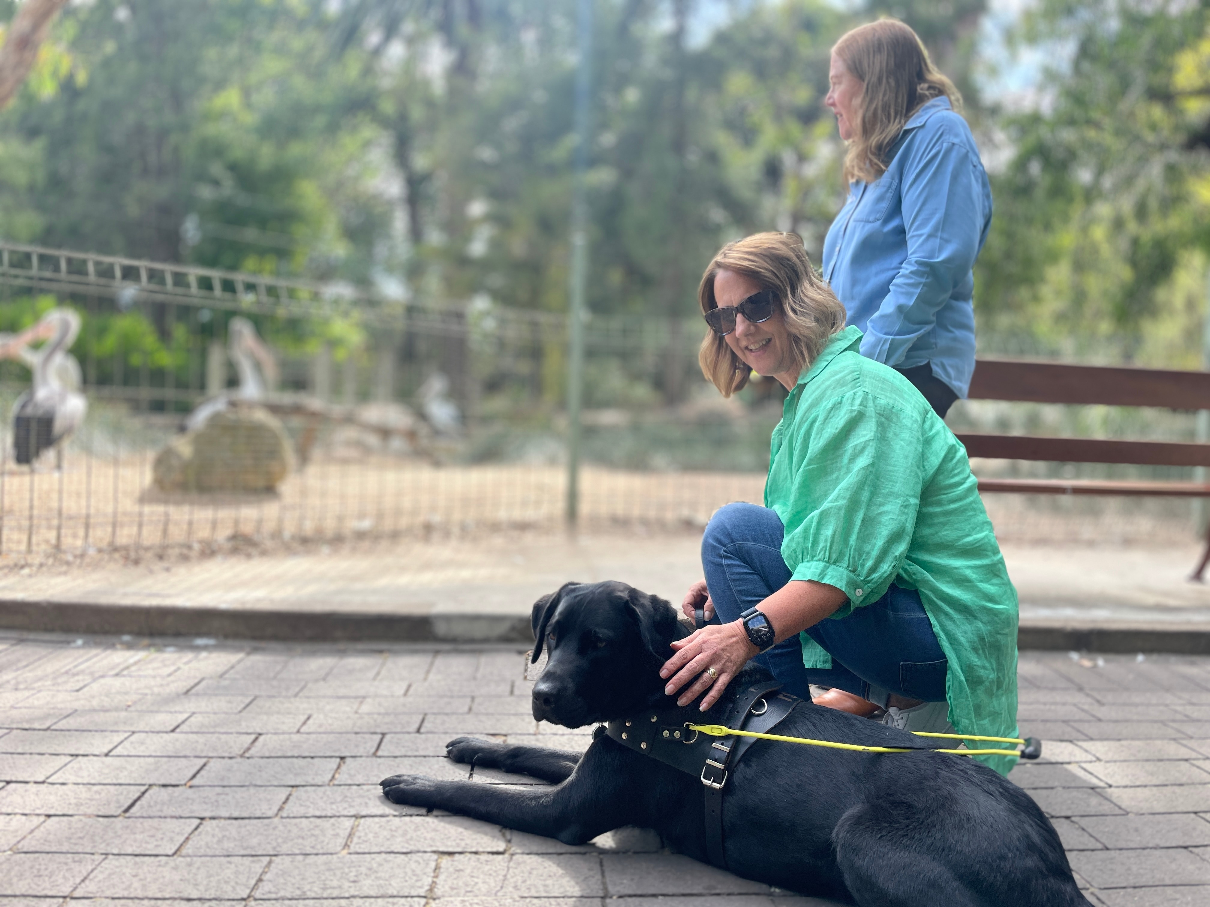 Assistance dogs welcomed at Adelaide Zoo under first-of-its-kind ...