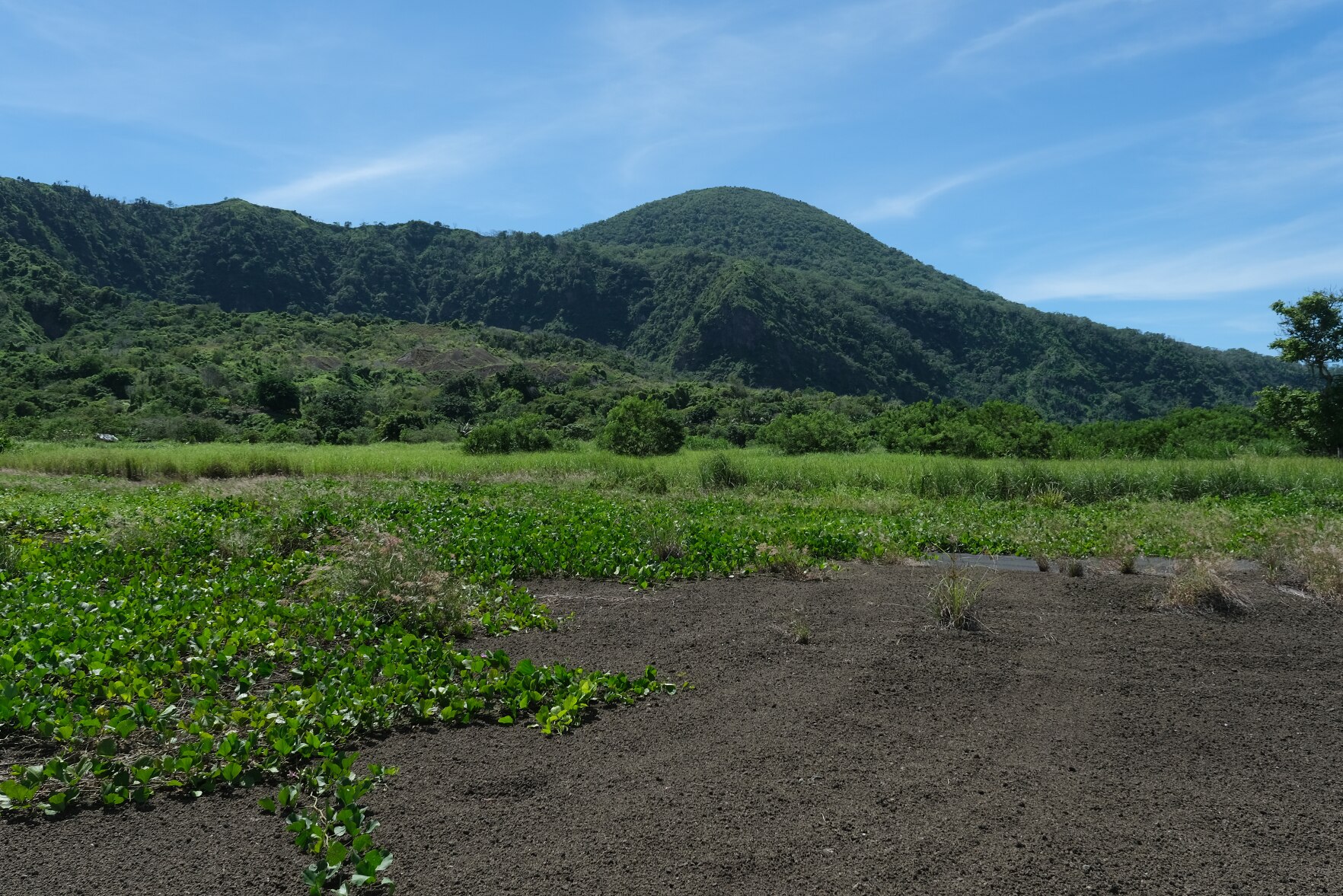 Volcanic eruptions buried Rabaul. Years later, residents live alongside ...