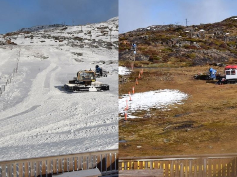 Daniel Morcombe murder: Bus driver denies passenger asked him to stop ...