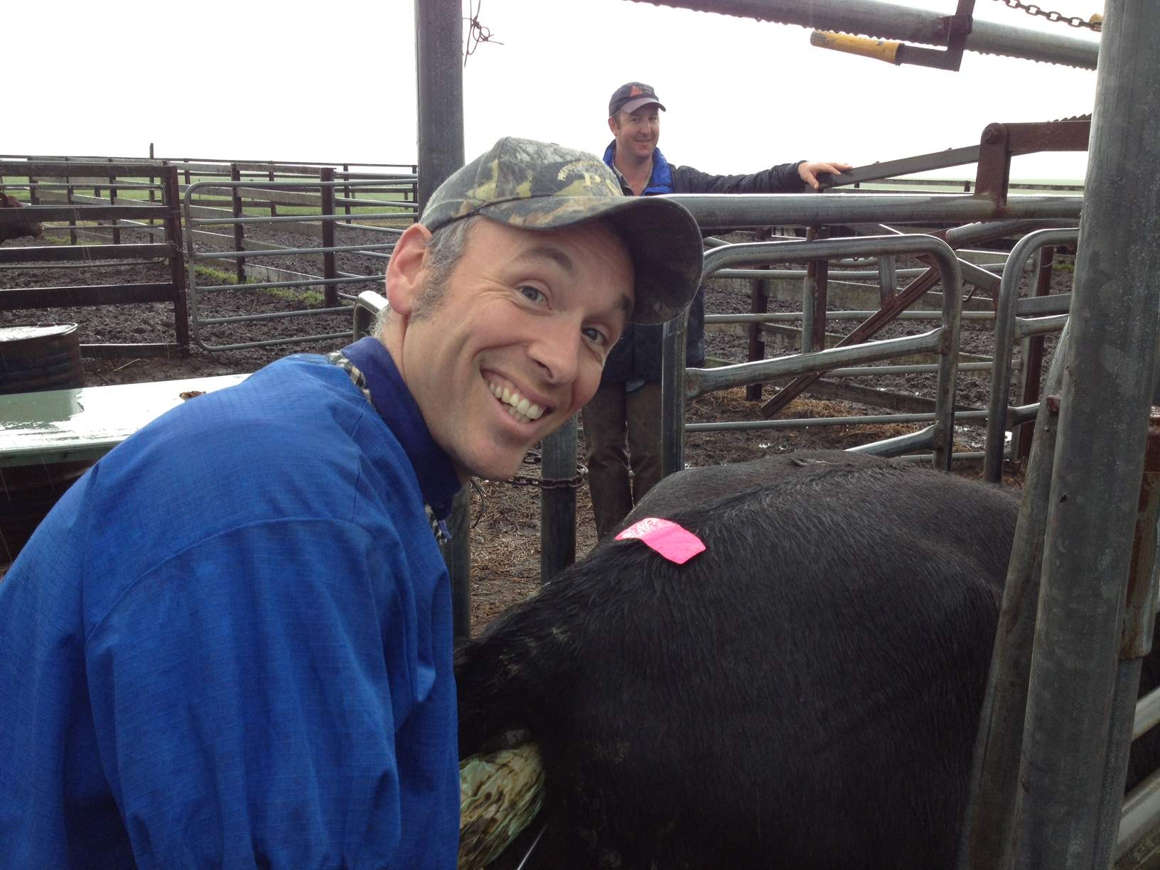 Thousands of sheep expected to have perished in Esperance fires - ABC News