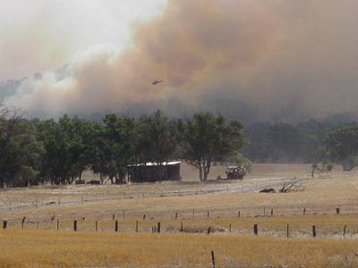 Fire damages 500ha near Grenfell - ABC News
