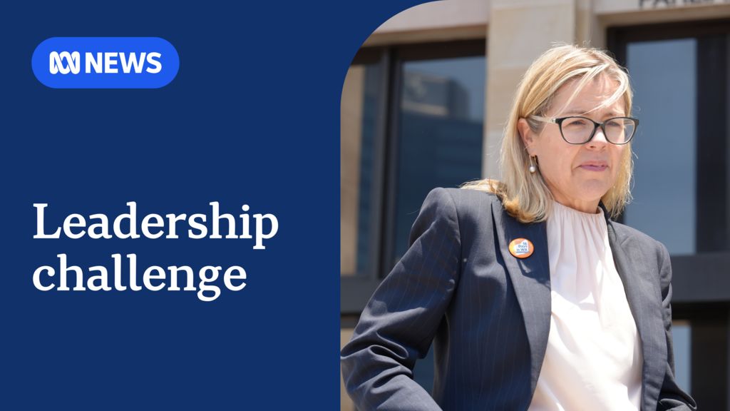 Libby Mettam survives challenge to leadership at Liberal Party meeting ...