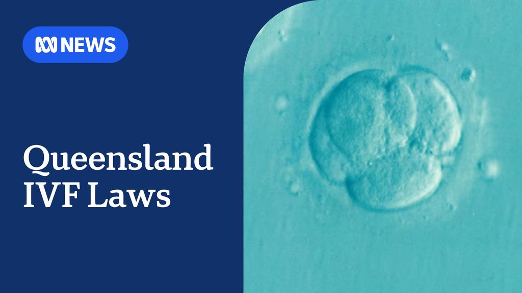 IVF law changes considered after patients refused treatment - ABC News