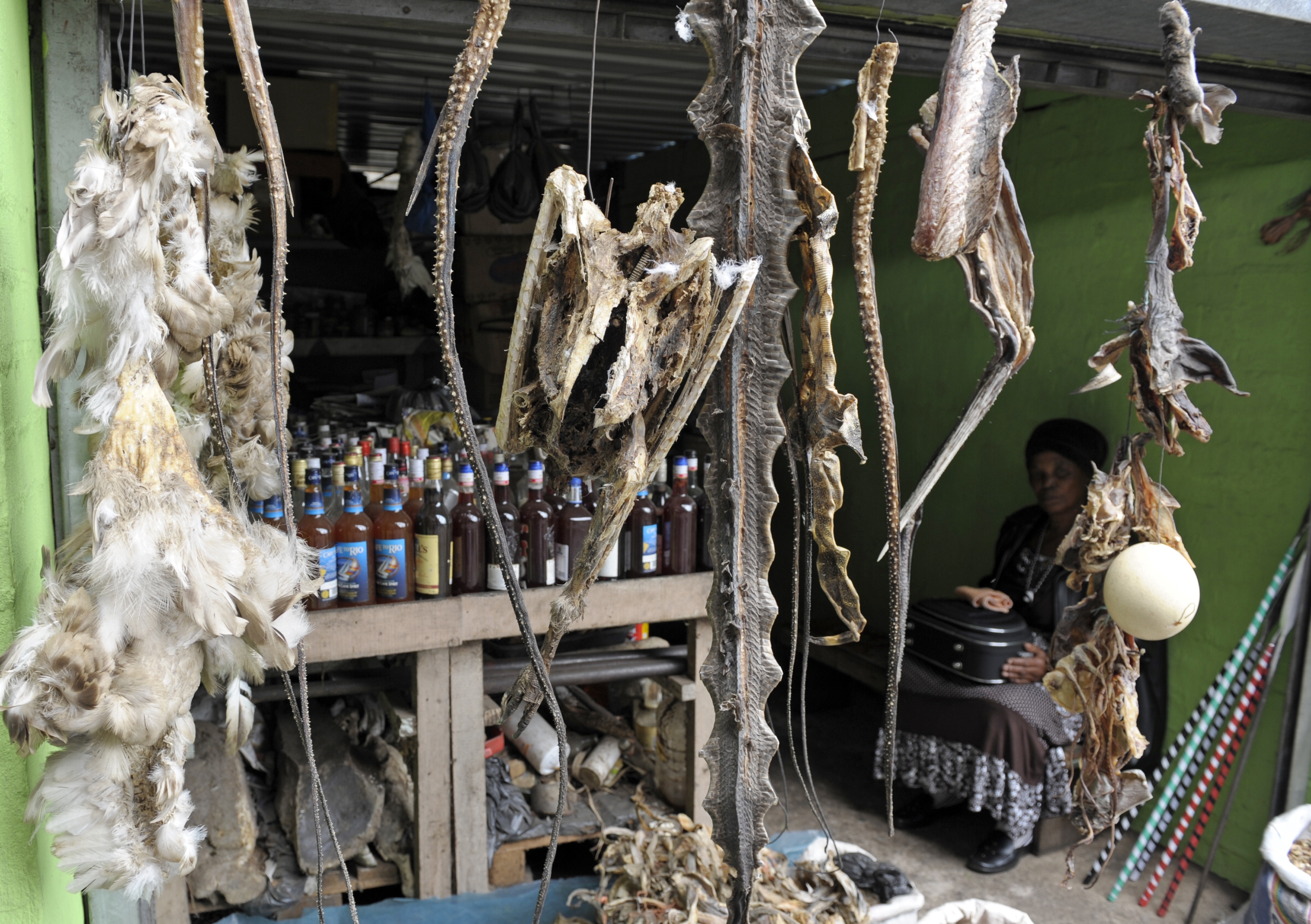 What is muti in South Africa? – POWERFULL MAGIC LOVE SPELLS