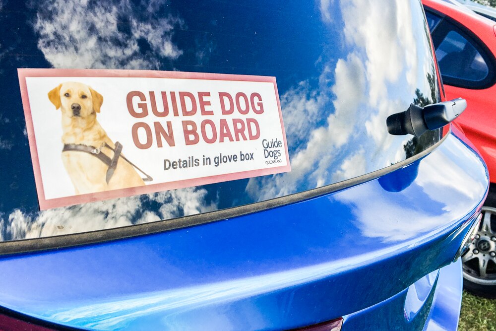 Guide Dog on board: Bumper stickers help dogs stay safe after car ...