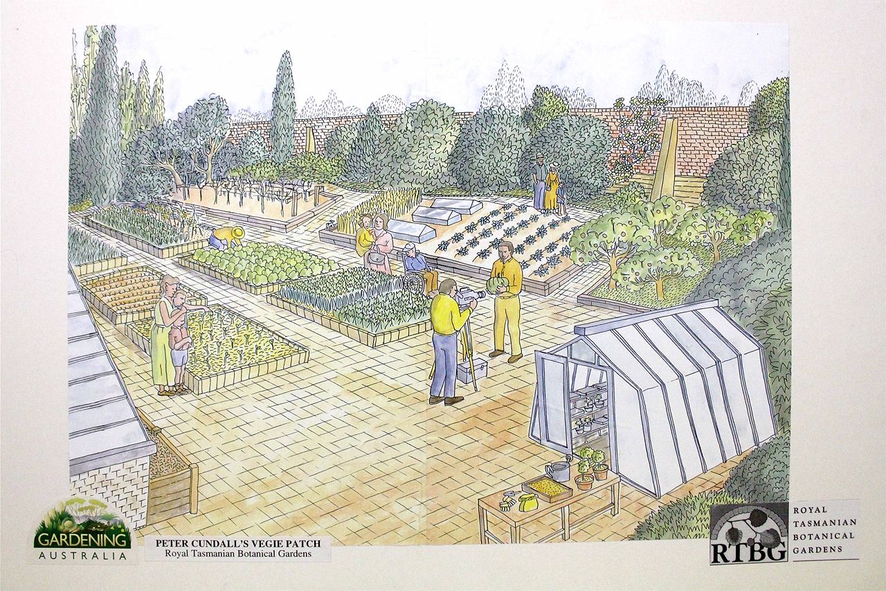 It might be wet but now is the time to be planting vegetables says ...