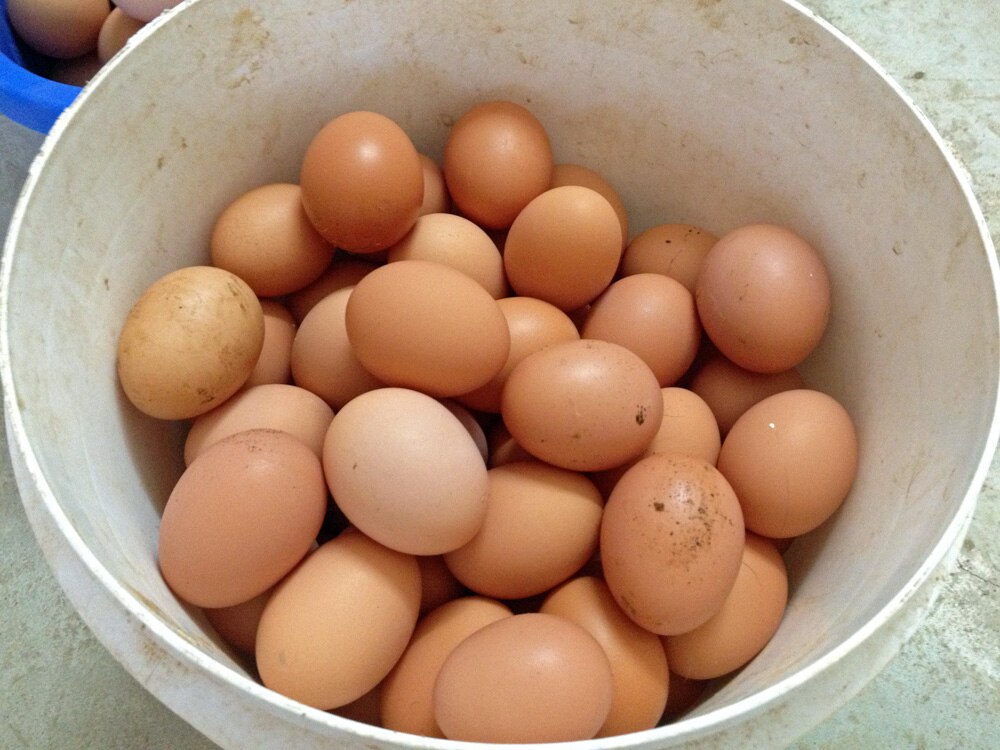 Shires in Western Australian plan to balance industry and housing needs ...