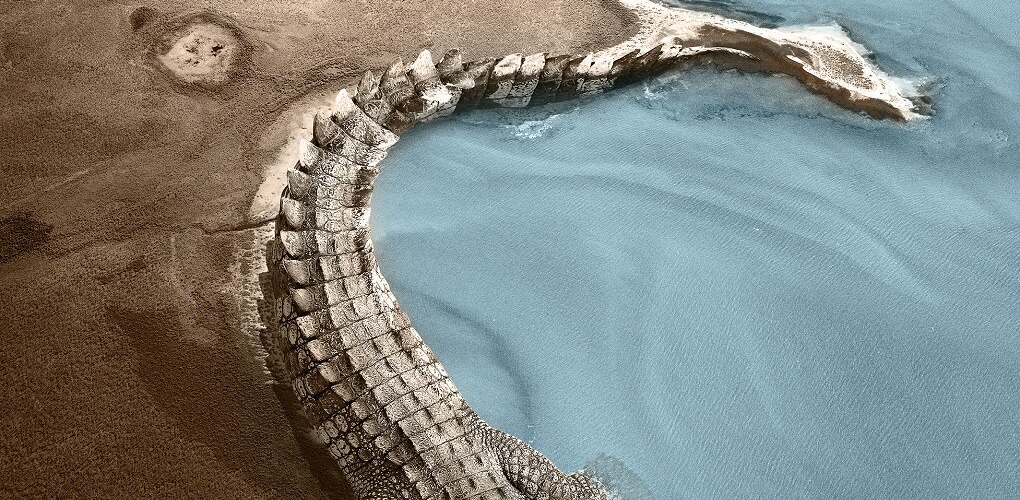 Eora Nation 70 - New exhibition of 40 bark paintings from Arnhem Land ...