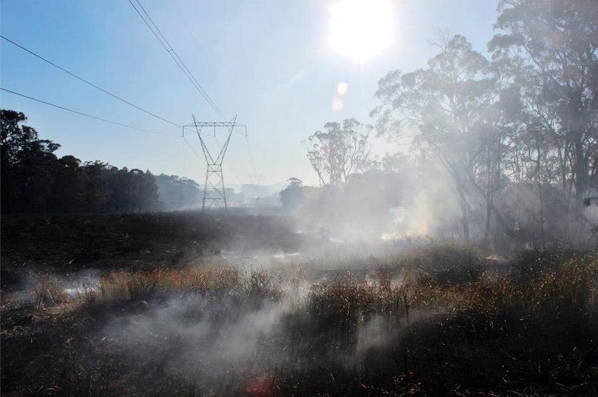 Wyee fire under investigation - ABC News