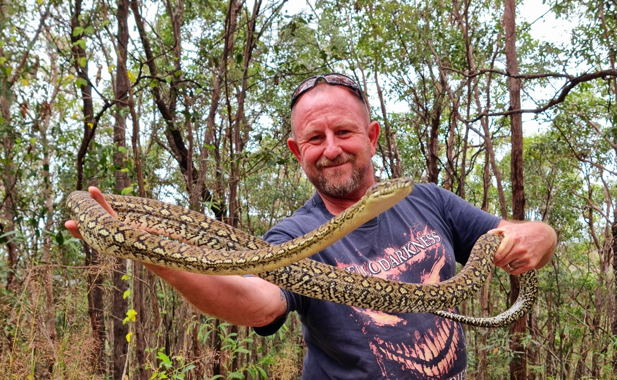 Queensland snake catcher inundated by calls from 'nervous' interstate ...