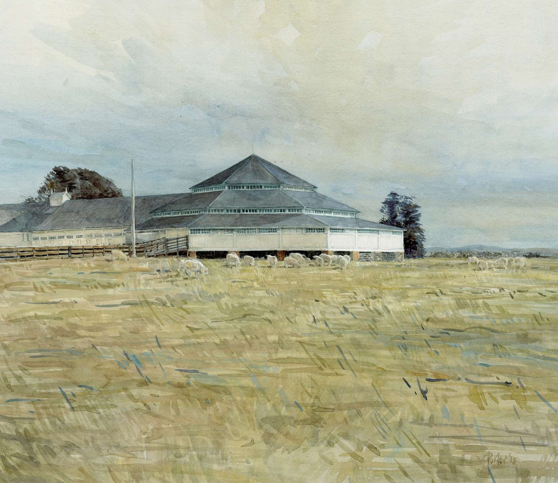 One artist's enchantment with the iconic Australian shearing shed - ABC ...