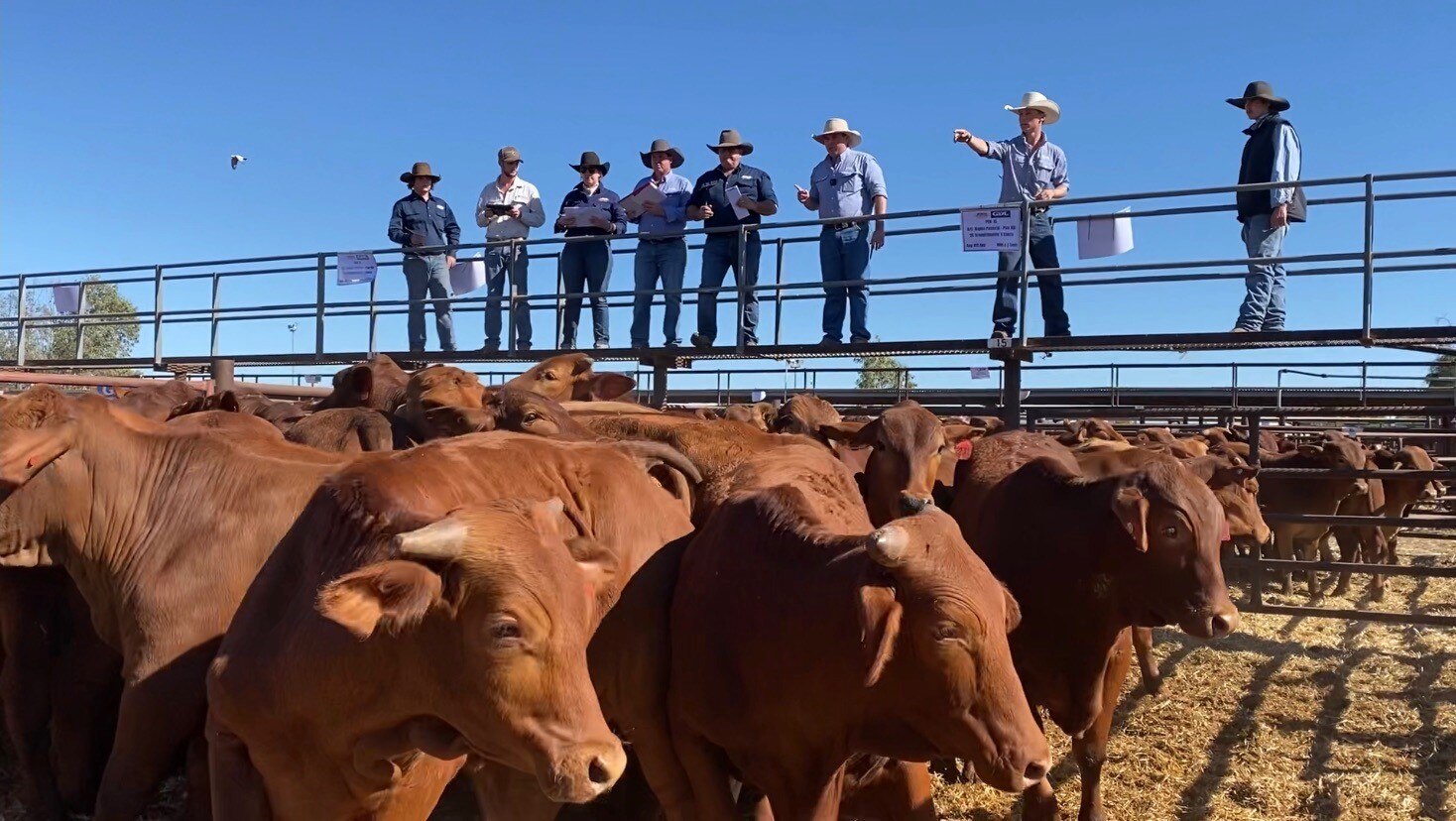 NT Country Hour - ABC listen