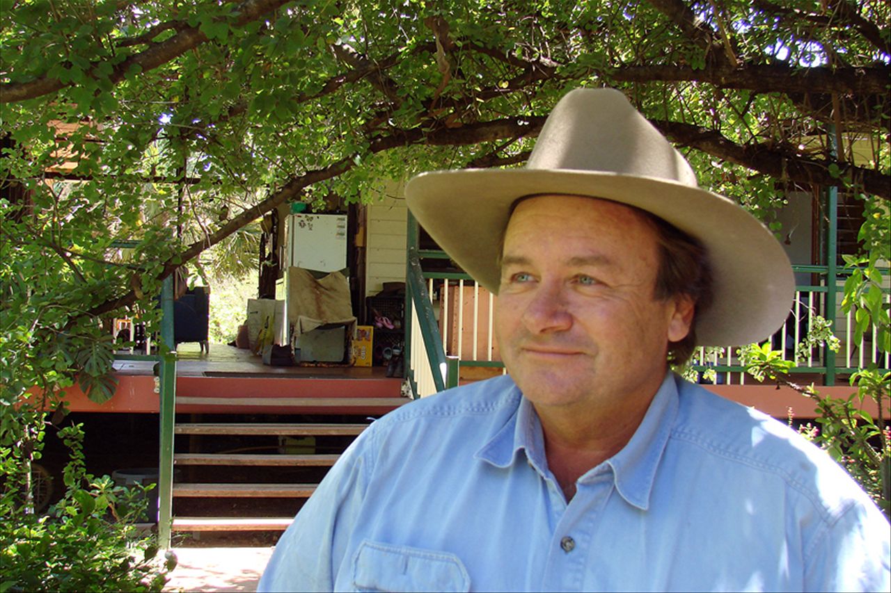 Two years before NT cattle market correction, investment banker says ...