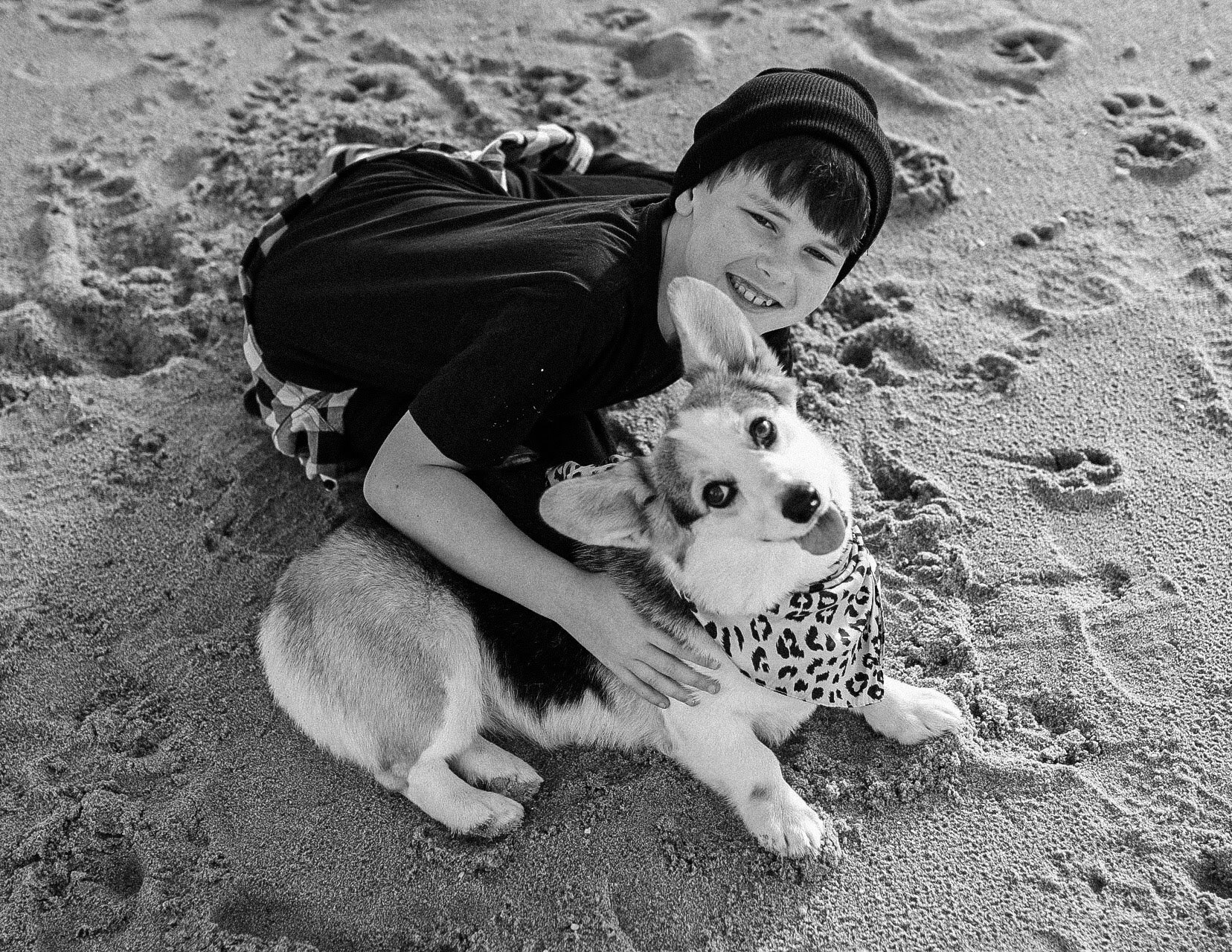 Coco the corgi's beach photo shoot was Queen Elizabeth-approved, and ...